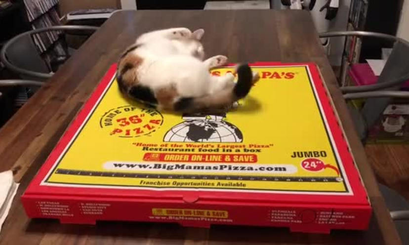 Pizza Toppings Memes